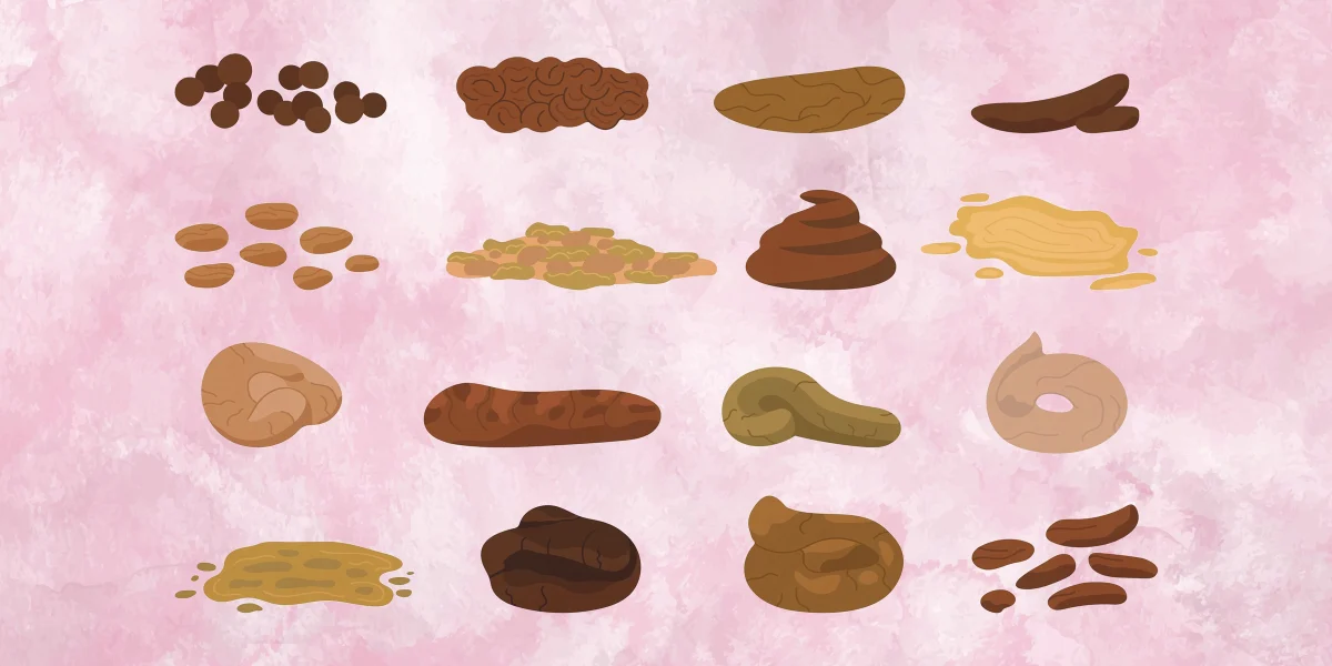 Defecation Is a Basic Human Function, so Why Don’t We Talk About It?