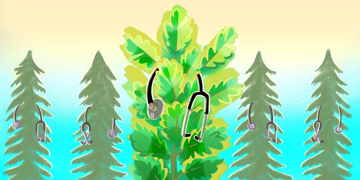 How to Be a ‘Nurse Tree’ for Your Mentees