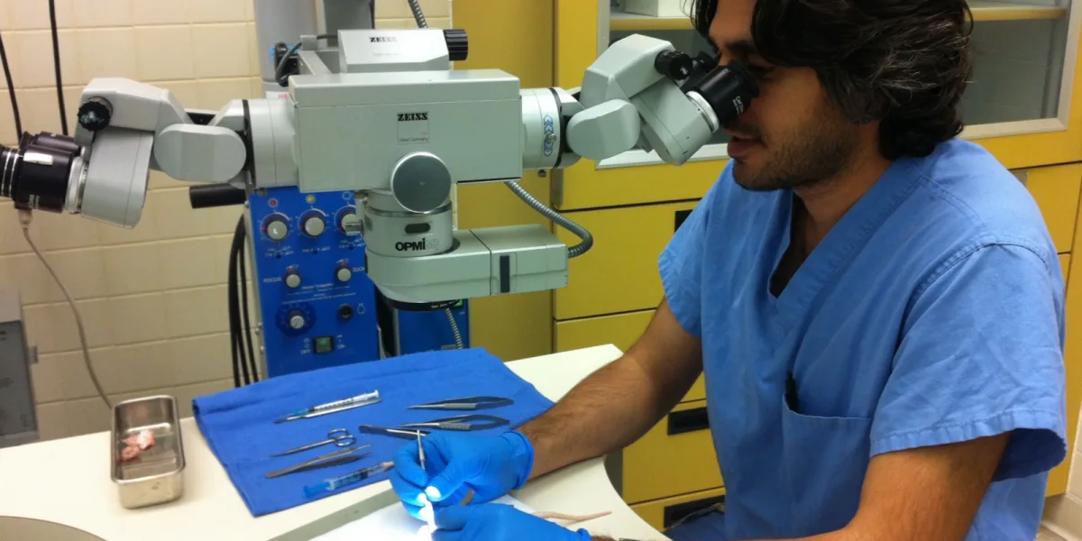 Should All Plastic Surgery Residency Programs Be Integrated?